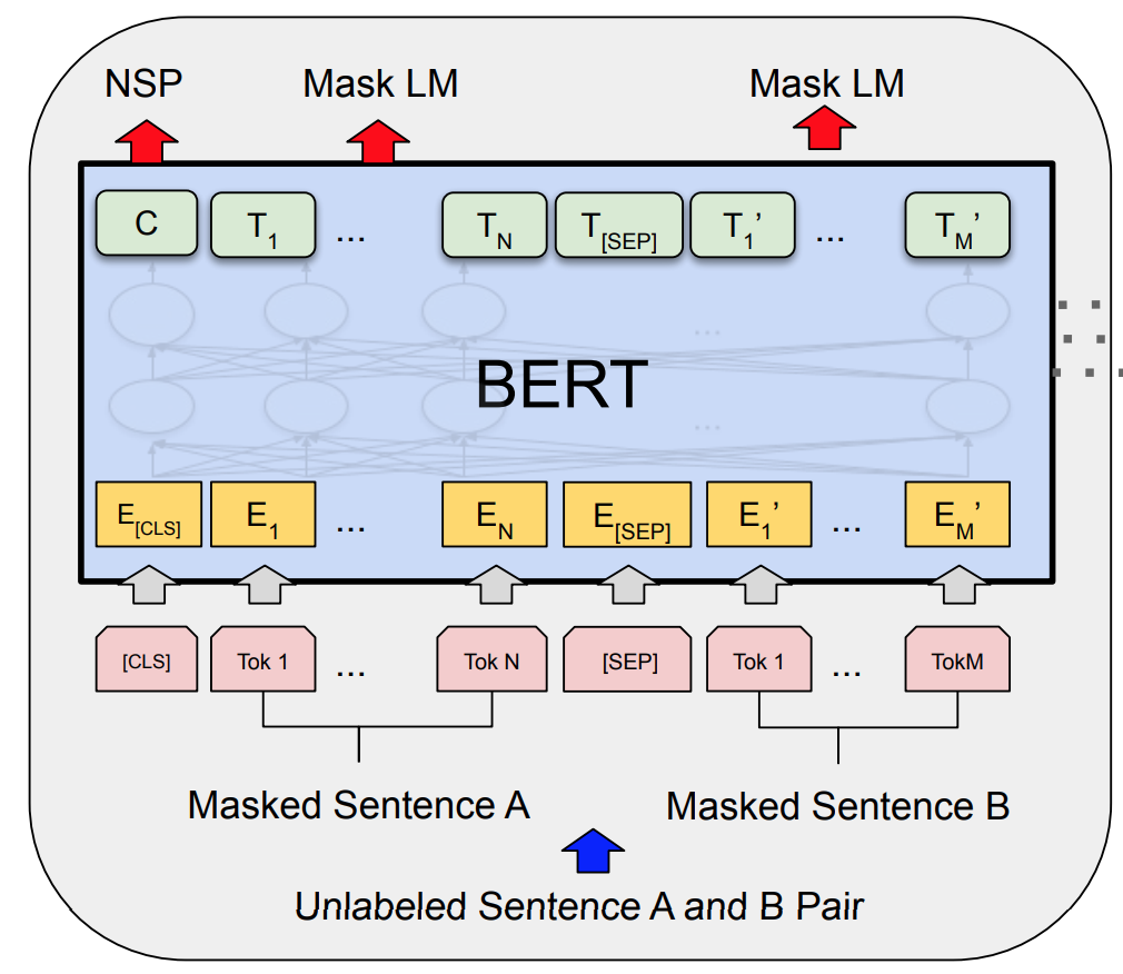 The Basics of Language Modeling with Transformers: BERT | Emerging Technologies